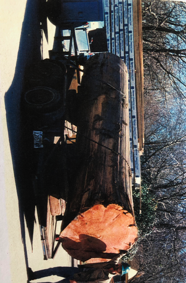 Block Plaza Sculptures Native American Meso American Columns